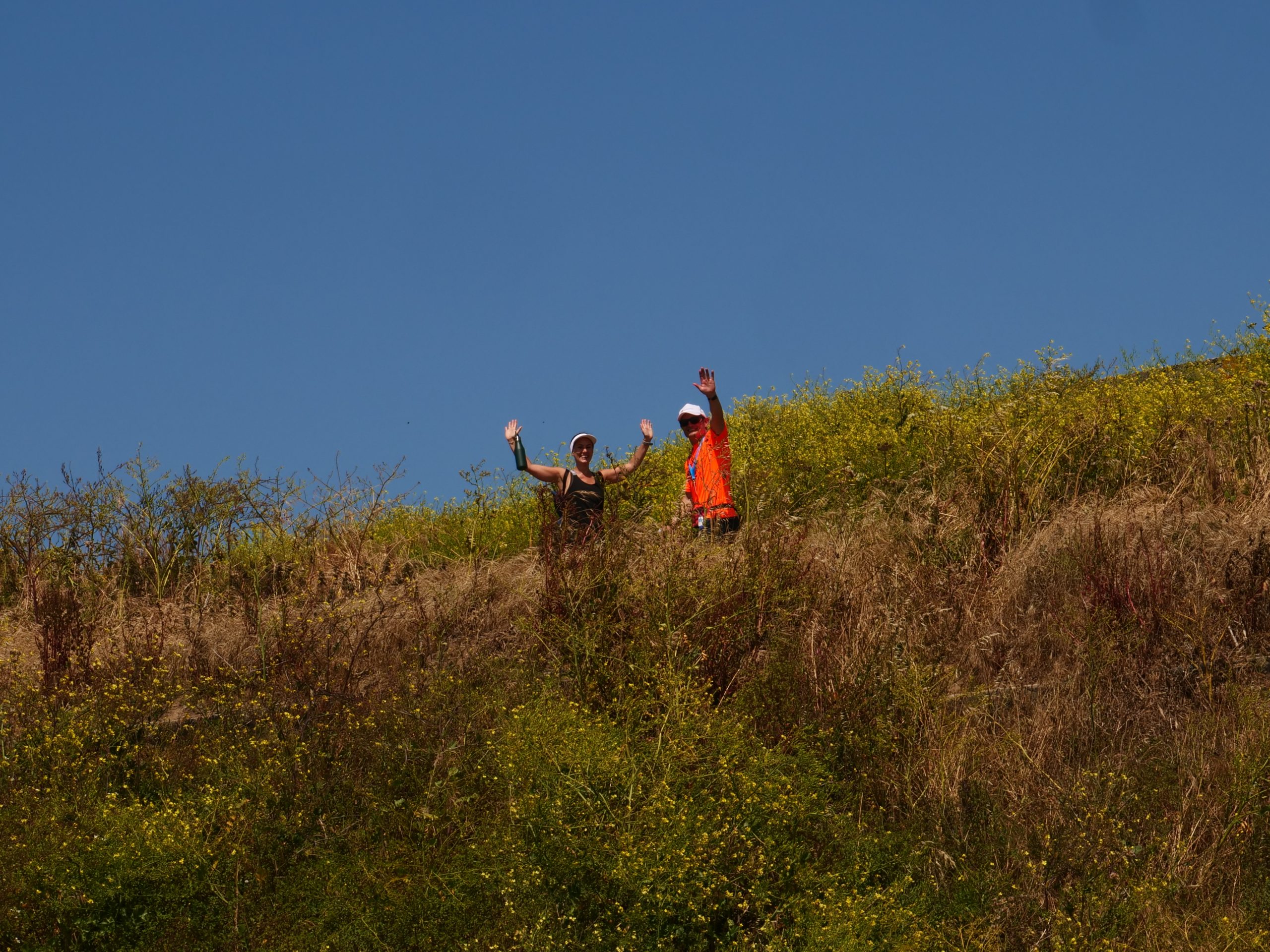 States Works Steps Up: Extra Team Deployed to Tackle Overgrowth Along ...